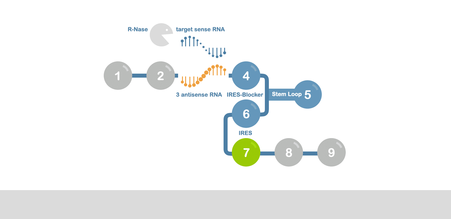 Technology – SRTD Biotech